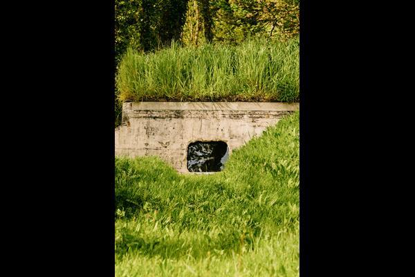 In pictures: Subterranean WW2 bunker transformed into holiday home ...